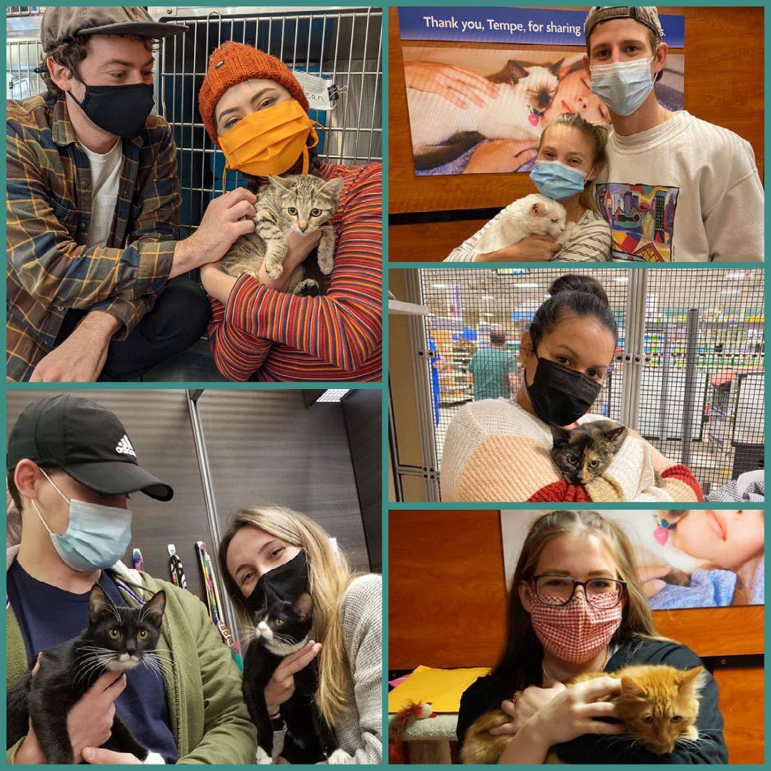 Volunteer Opportunities Archive - TeensVolunteer.org