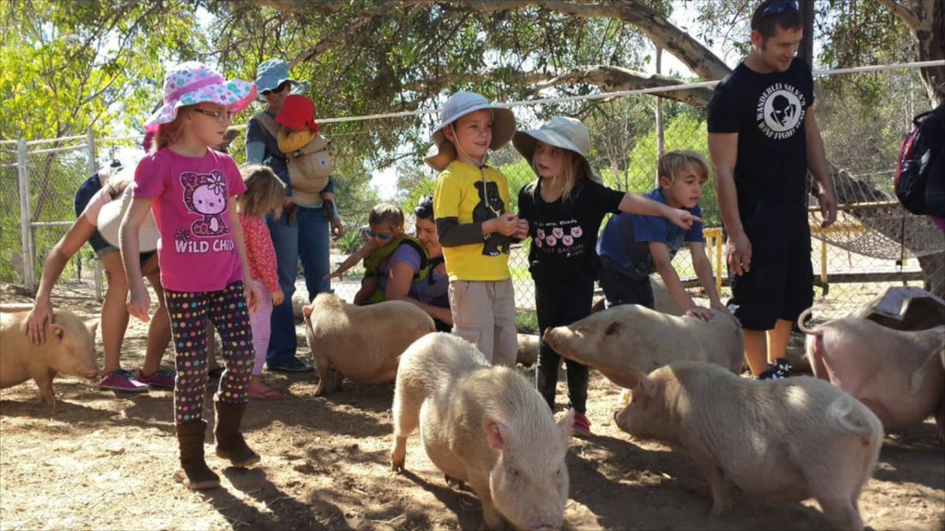 Take care of animals with New Life Animal Sanctuary - TeensVolunteer.org