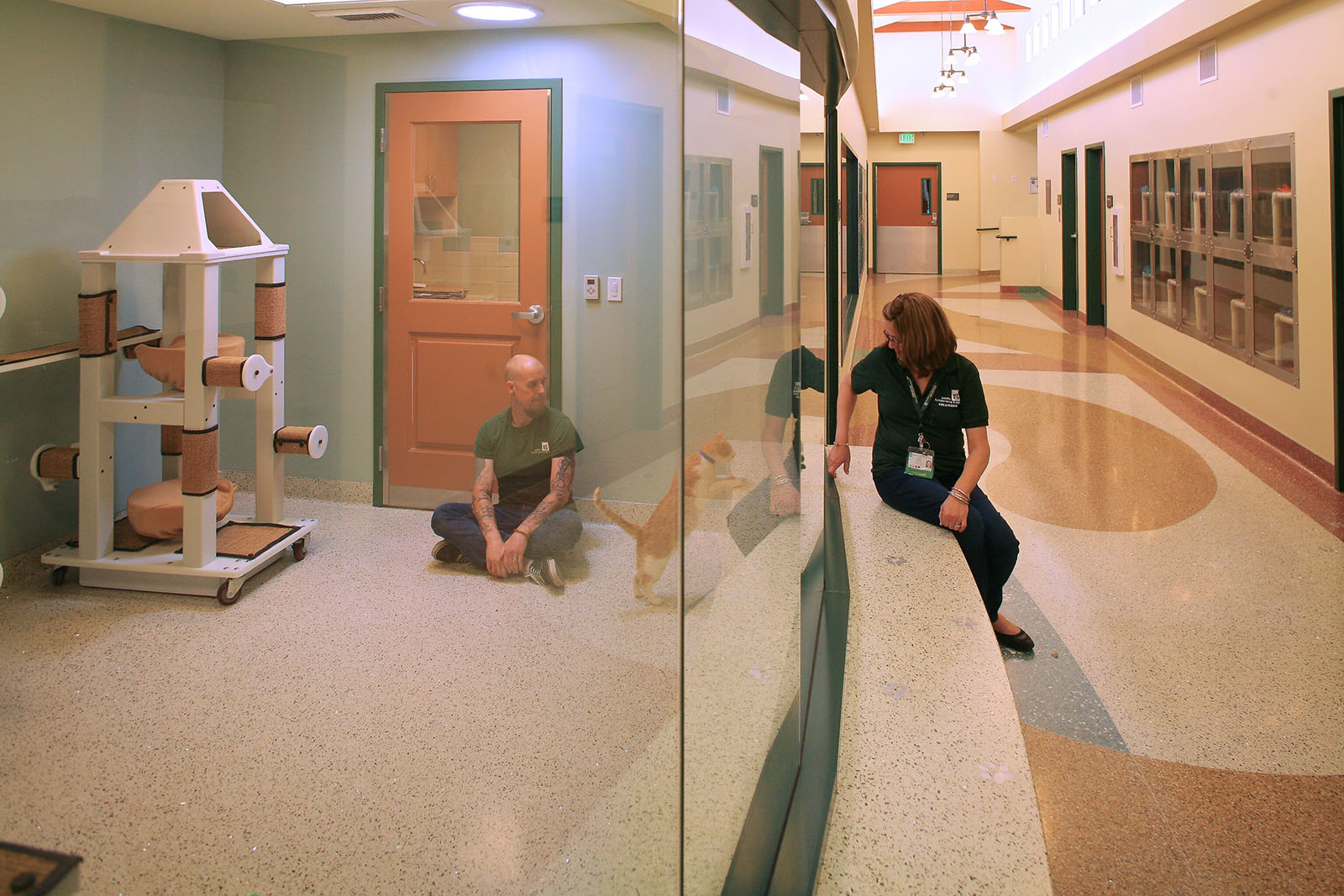 Volunteer with the Pasadena Humane Society at offsite locations ...